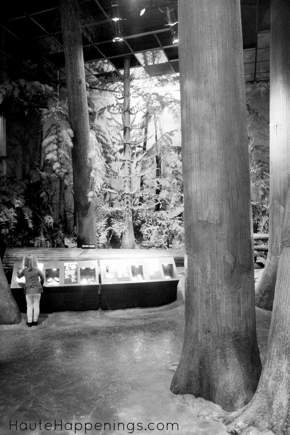 7 Reasons to Check Out the Field Museum in Chicago & How to Visit for ...