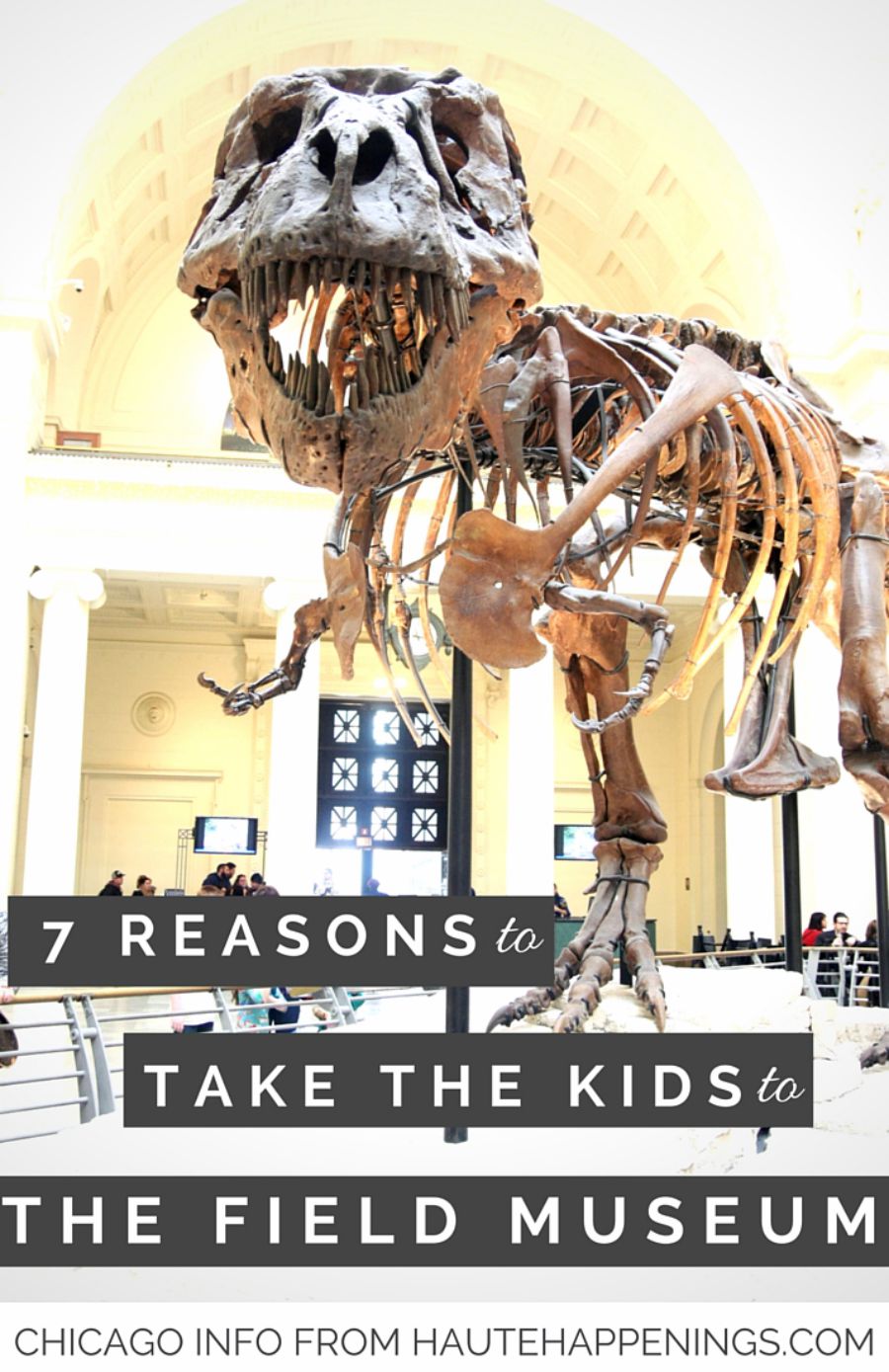 7 Reasons to Check Out the Field Museum in Chicago & How to Visit for ...