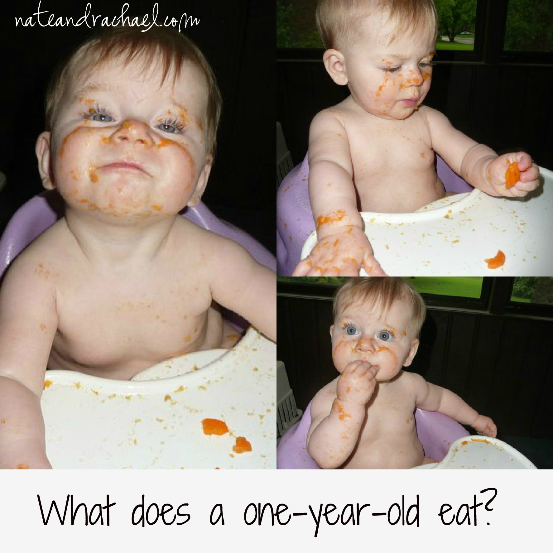 What Does A One Year Old Eat Nothing If Not Intentional